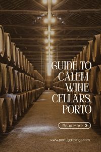 Port wine cellars - Calém cellars tour review – Portugal Things