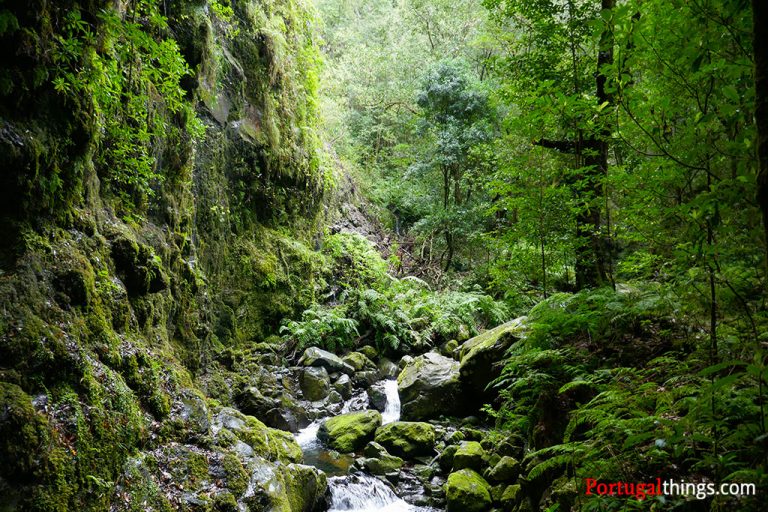 Levada do Rei hike - PR18 Madeira – Portugal Things