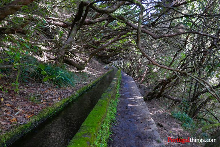 Hiking the 25 fountains Levada walk - PR6 – Portugal Things