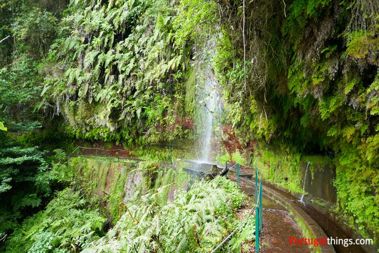 10 most beautiful waterfalls in Madeira – Portugal Things