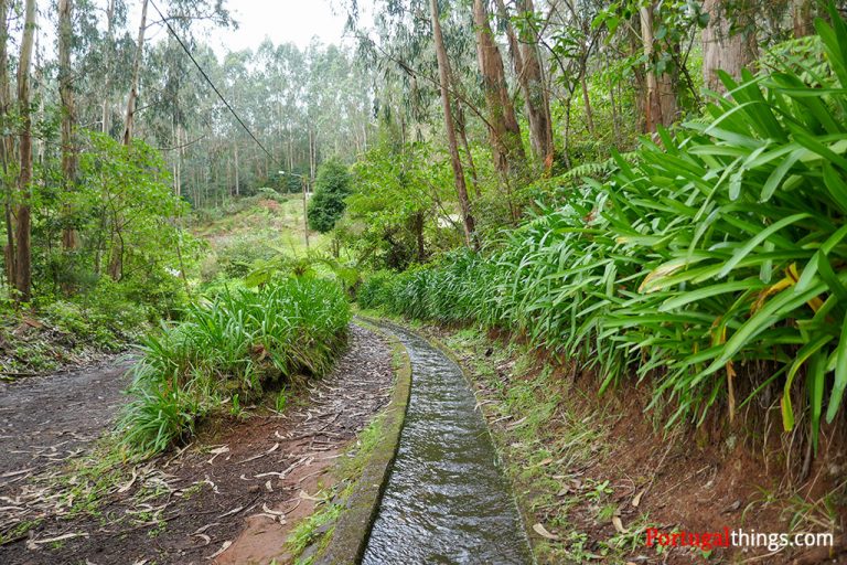Levada do Rei hike - PR18 Madeira – Portugal Things