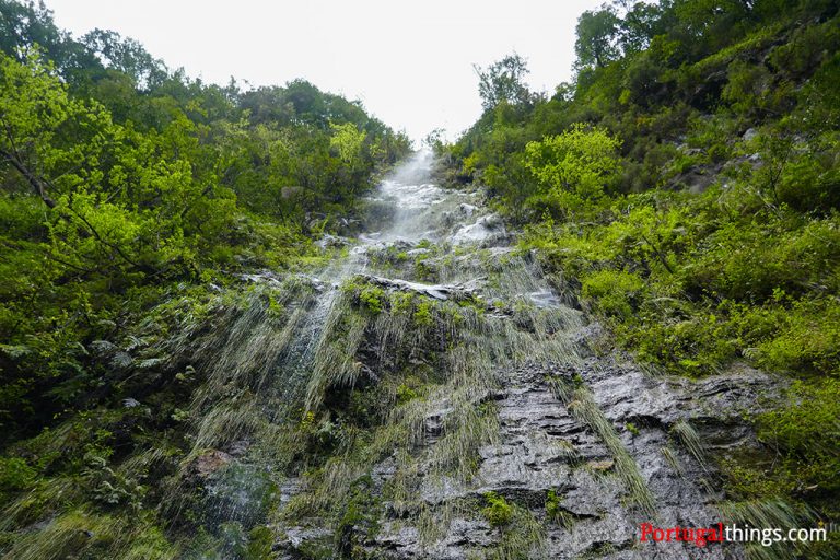Levada do Rei hike - PR18 Madeira – Portugal Things
