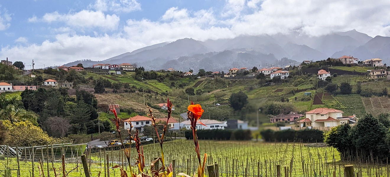 Where to eat in Madeira? 20 of the best restaurants in Madeira ...