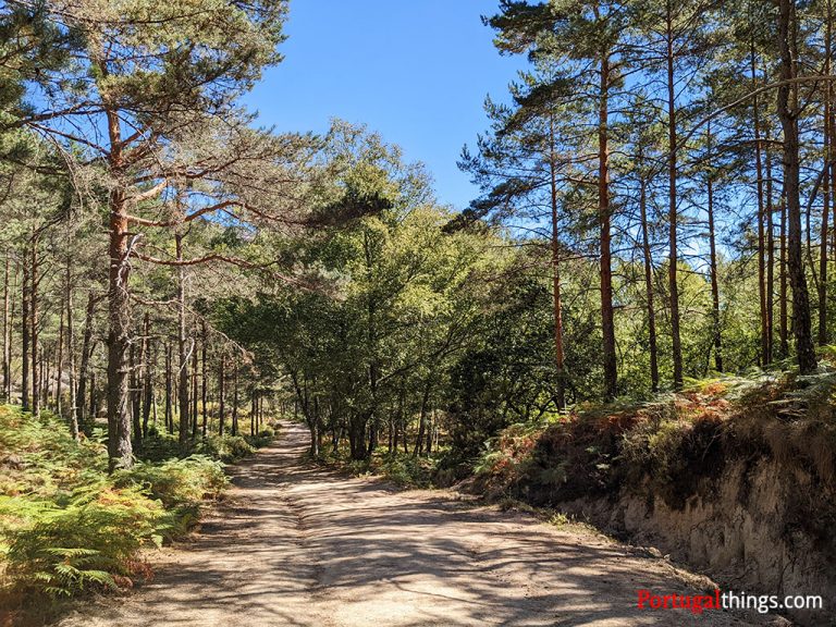How to go to Poço Azul in Geres - Complete guide – Portugal Things