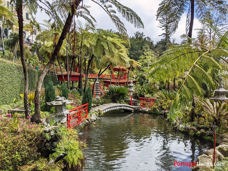 What to know before visiting Madeira – Portugal Things